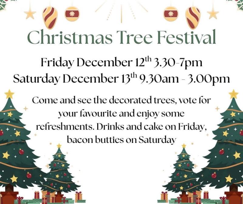 Holmes Chapel Primary School: Buzzing with Christmas Joy - Christmas ...