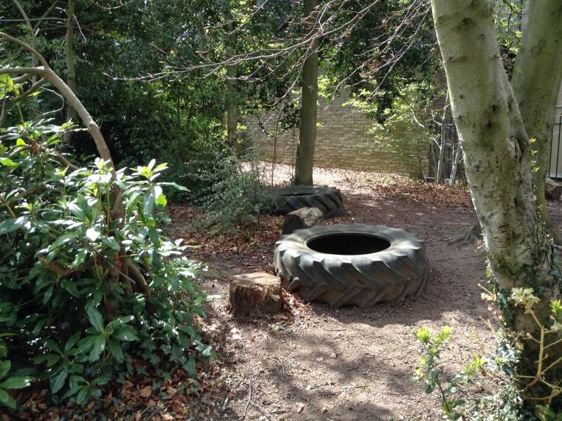 Sandiway Primary School: EYFS