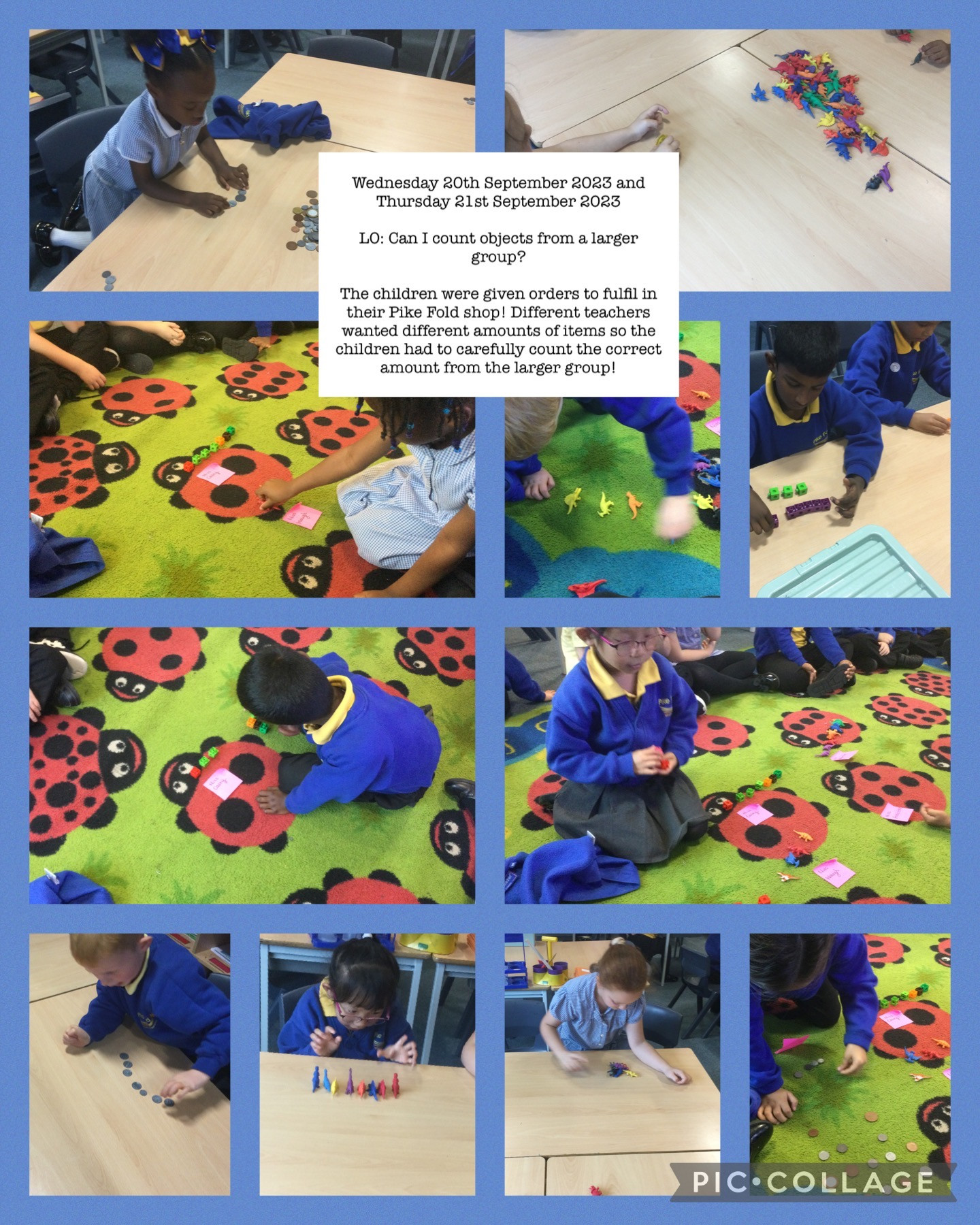 Pike Fold Primary School: 20.09.23 and 21.09.23 - Can I count objects ...