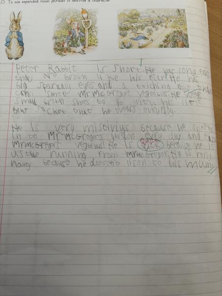 Abbott Community Primary School: Peter Rabbit character descriptions