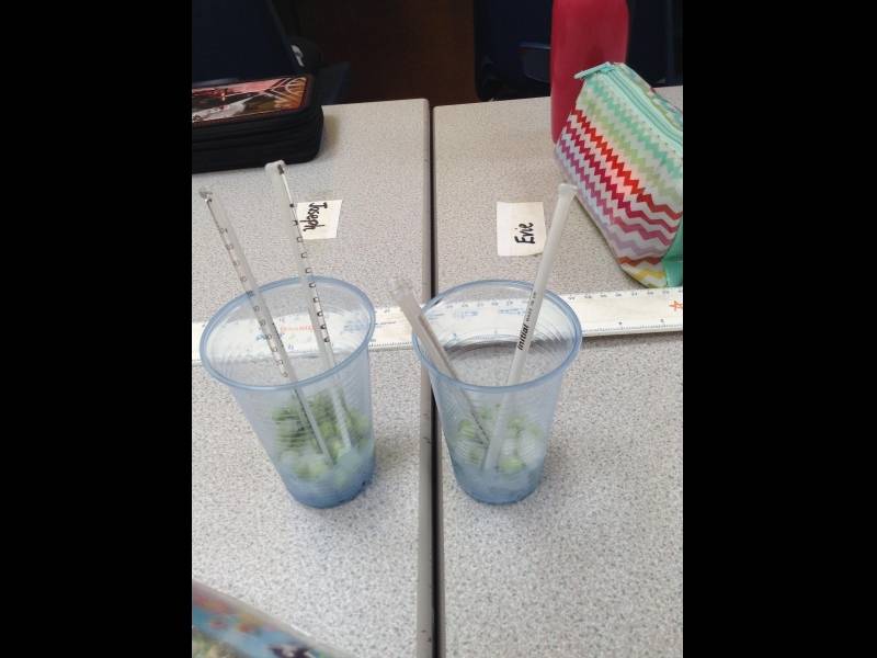 Greenleas Primary and Nursery School: Understanding negative numbers