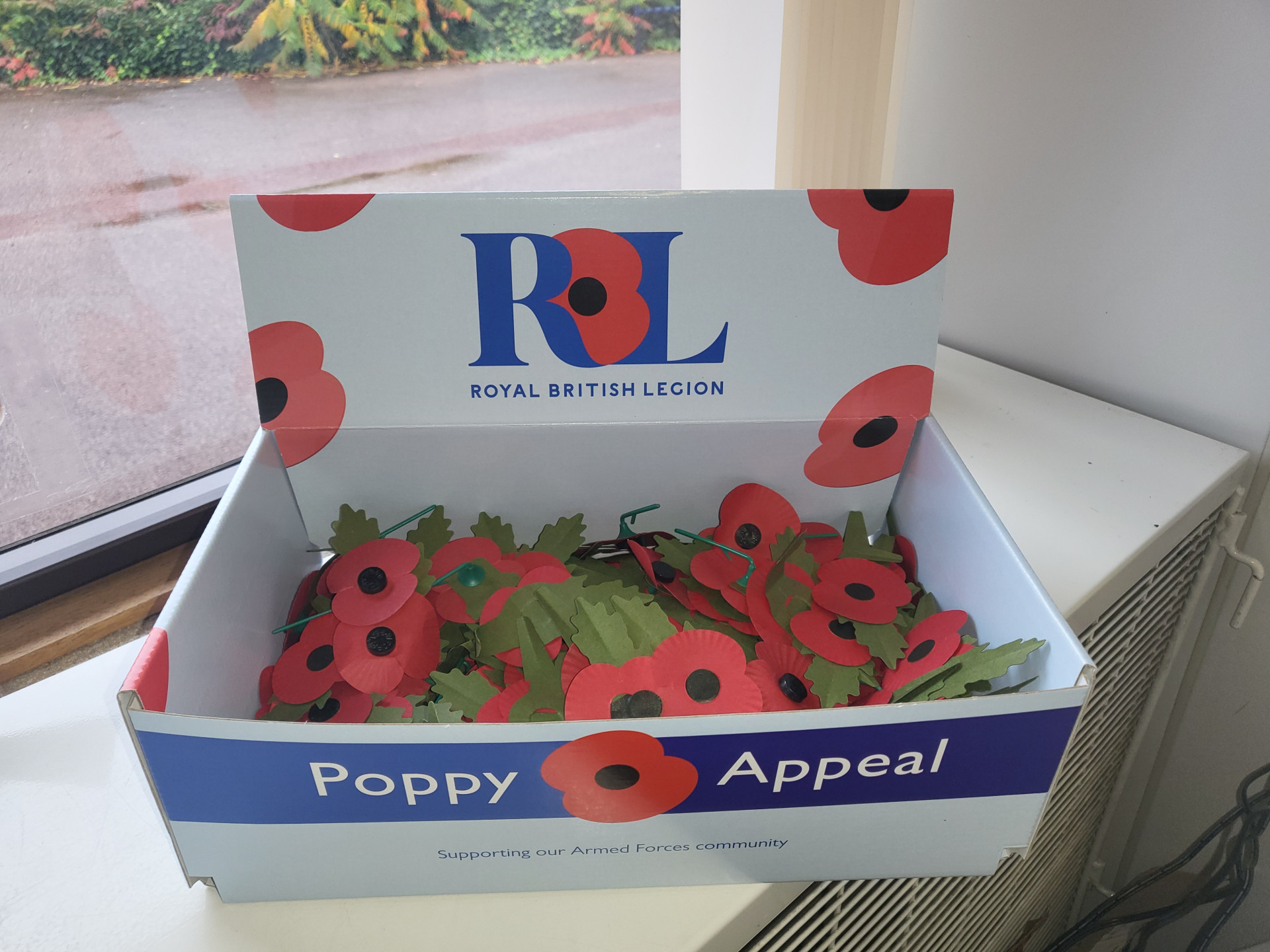 Charlestown Community Primary School: Poppy Appeal