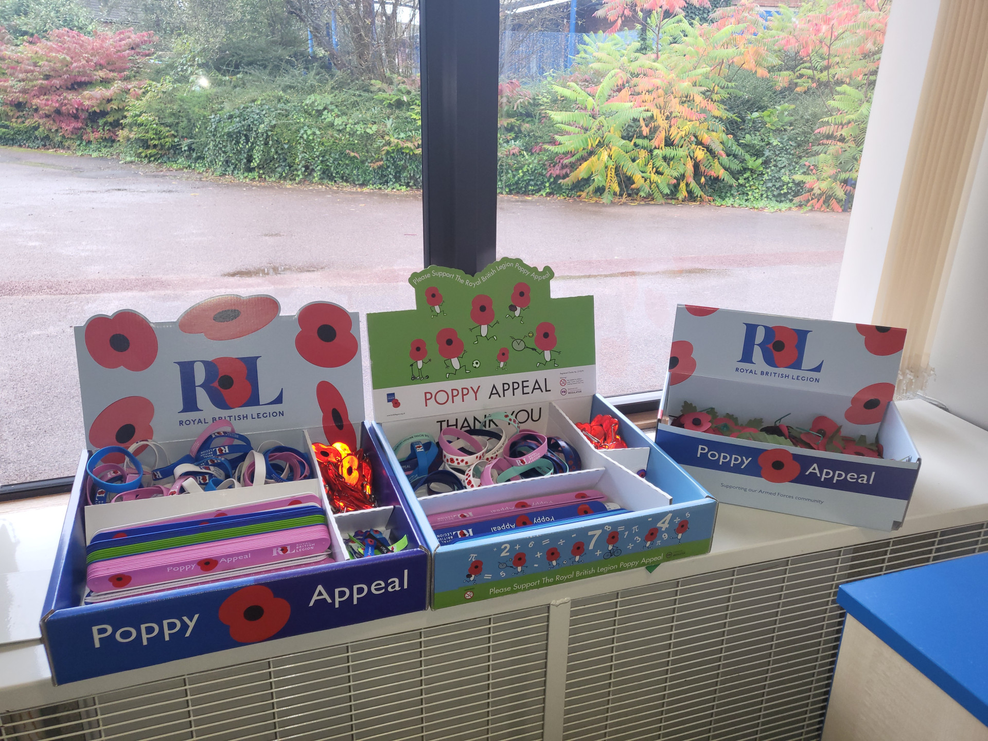 Charlestown Community Primary School: Poppy Appeal