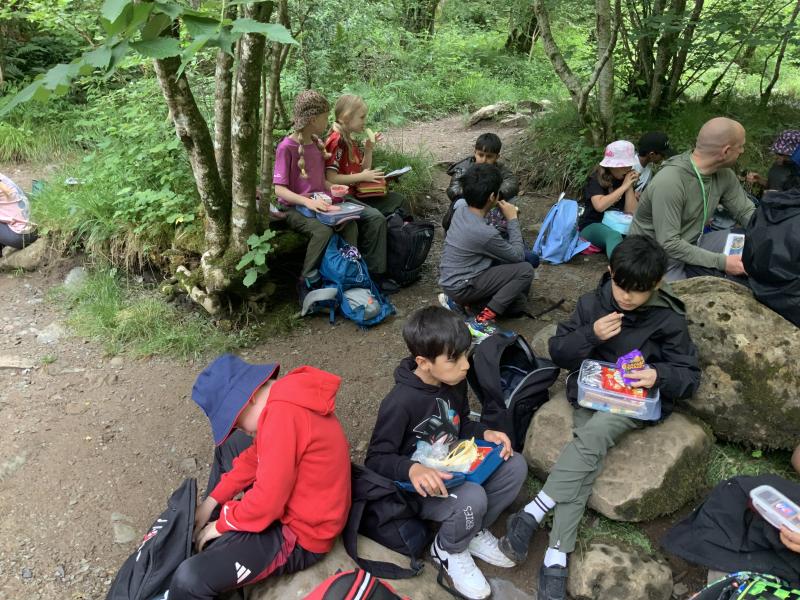 Sherwood Primary School: Year 4 Ingleton Waterfalls walk