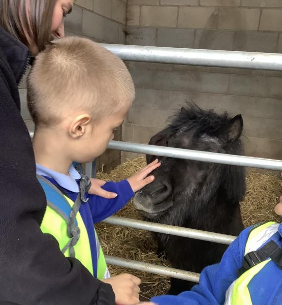 Ashgate Specialist Support School: Wythenshawe farm