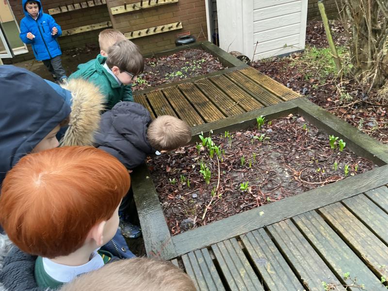 St Oswald's Catholic Primary School: Reception-Forest School