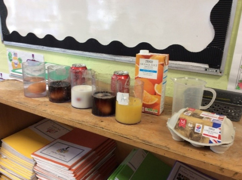 Moseley C of E Primary School: Our science experiment about teeth