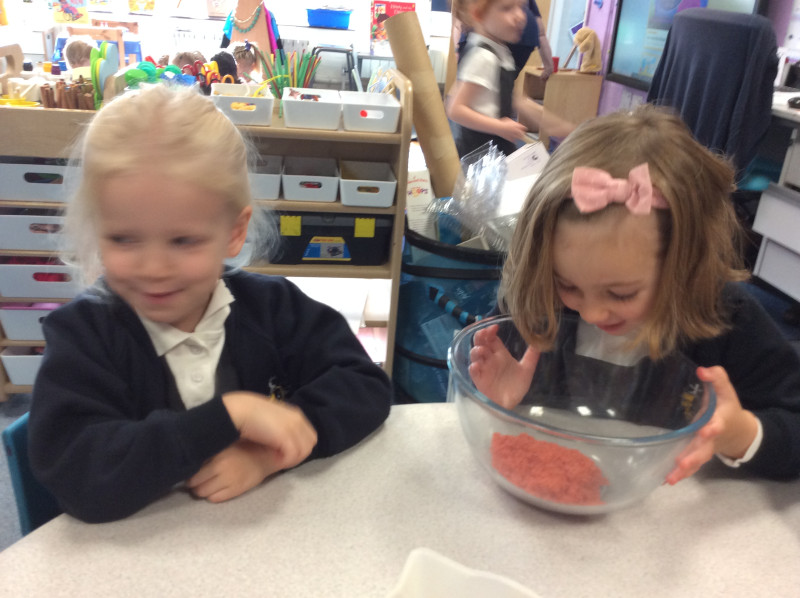 Moseley C of E Primary School: Jelly!