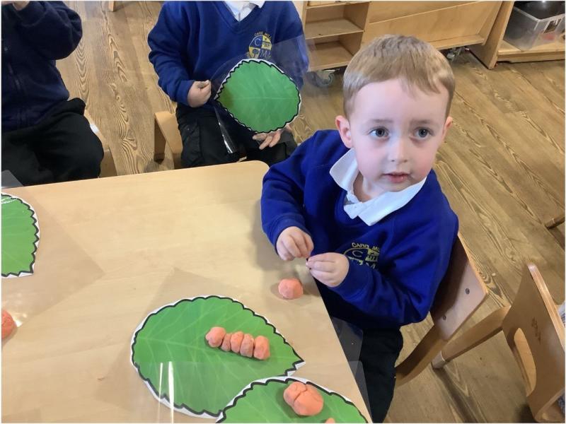 Carr Mill Primary School: Seedlings Week Ending 17.4.26