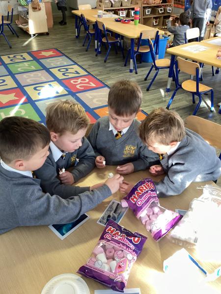 Royles Brook Primary School: Ash Class