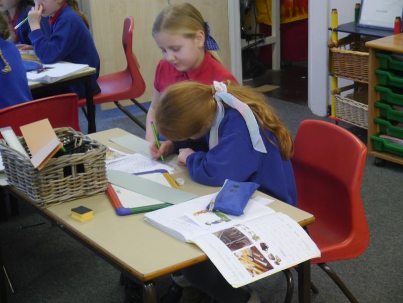 Waverton Primary School: Year 1 Curriculum